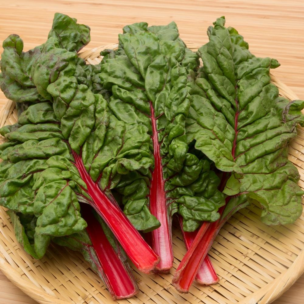 Buy Swiss Chard Magenta Sunset seeds at jparkers.co.uk