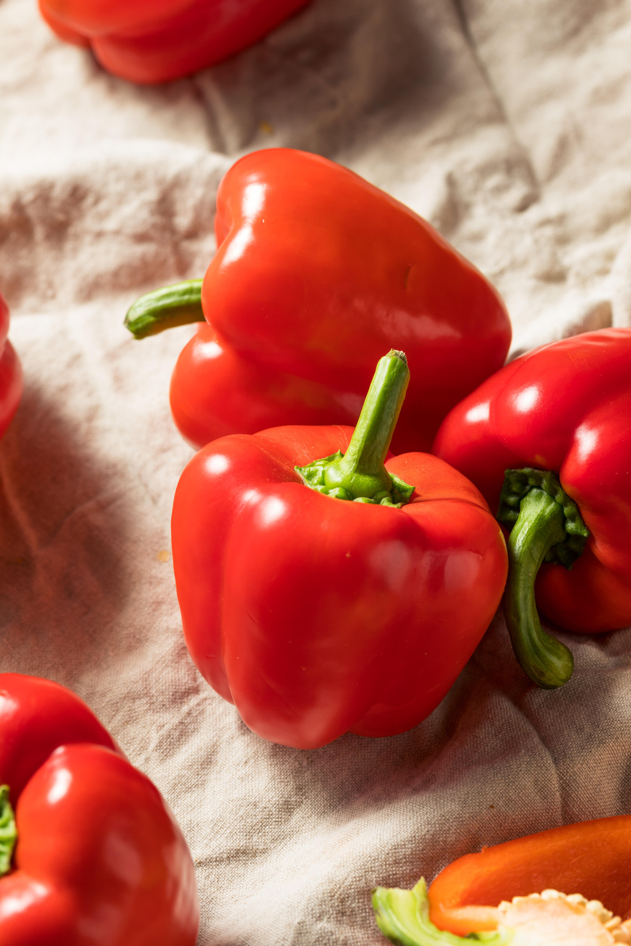 Pepper Beluga Red | J Parker Dutch Bulbs