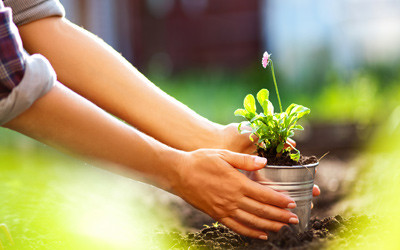 8 Ways Gardening Can Help Your Community - JParkers