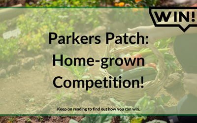 Parkers Patch: Home-grown Competition - JParkers
