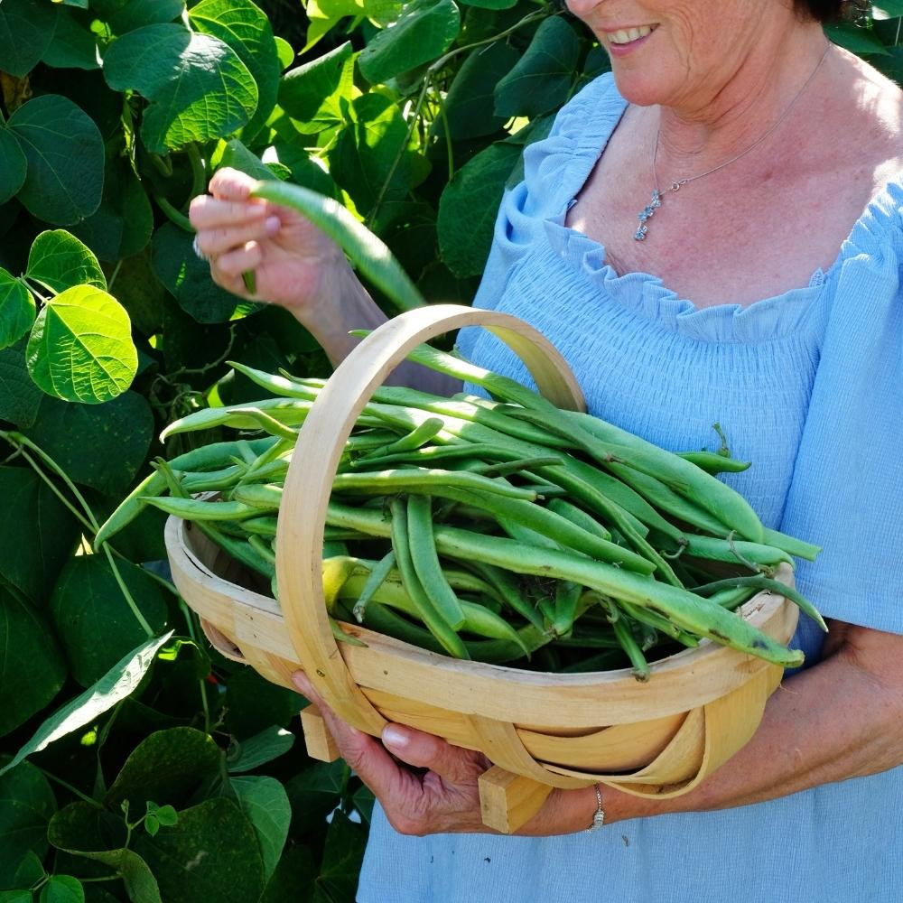 Buy Runner Bean Lady Di seeds at jparkers.co.uk