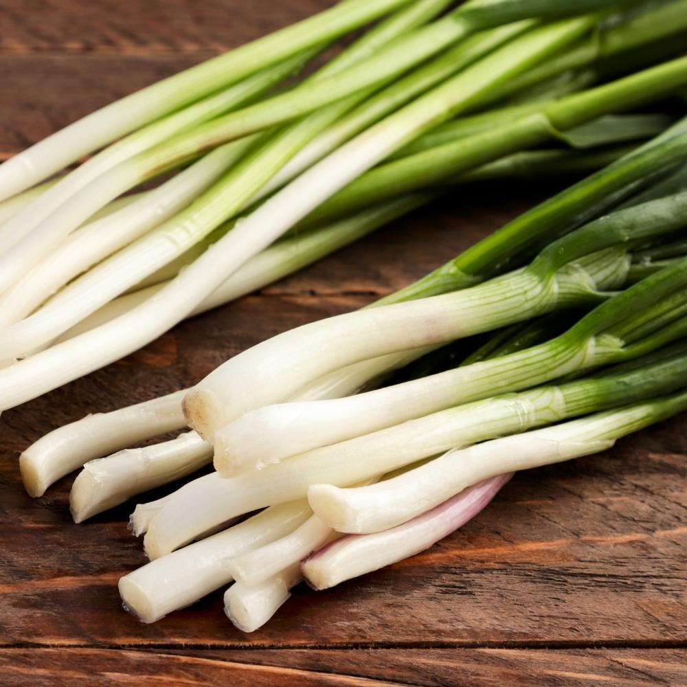 Buy Onion Bunching Tokyo Long White Spring seeds at jparkers.co.uk