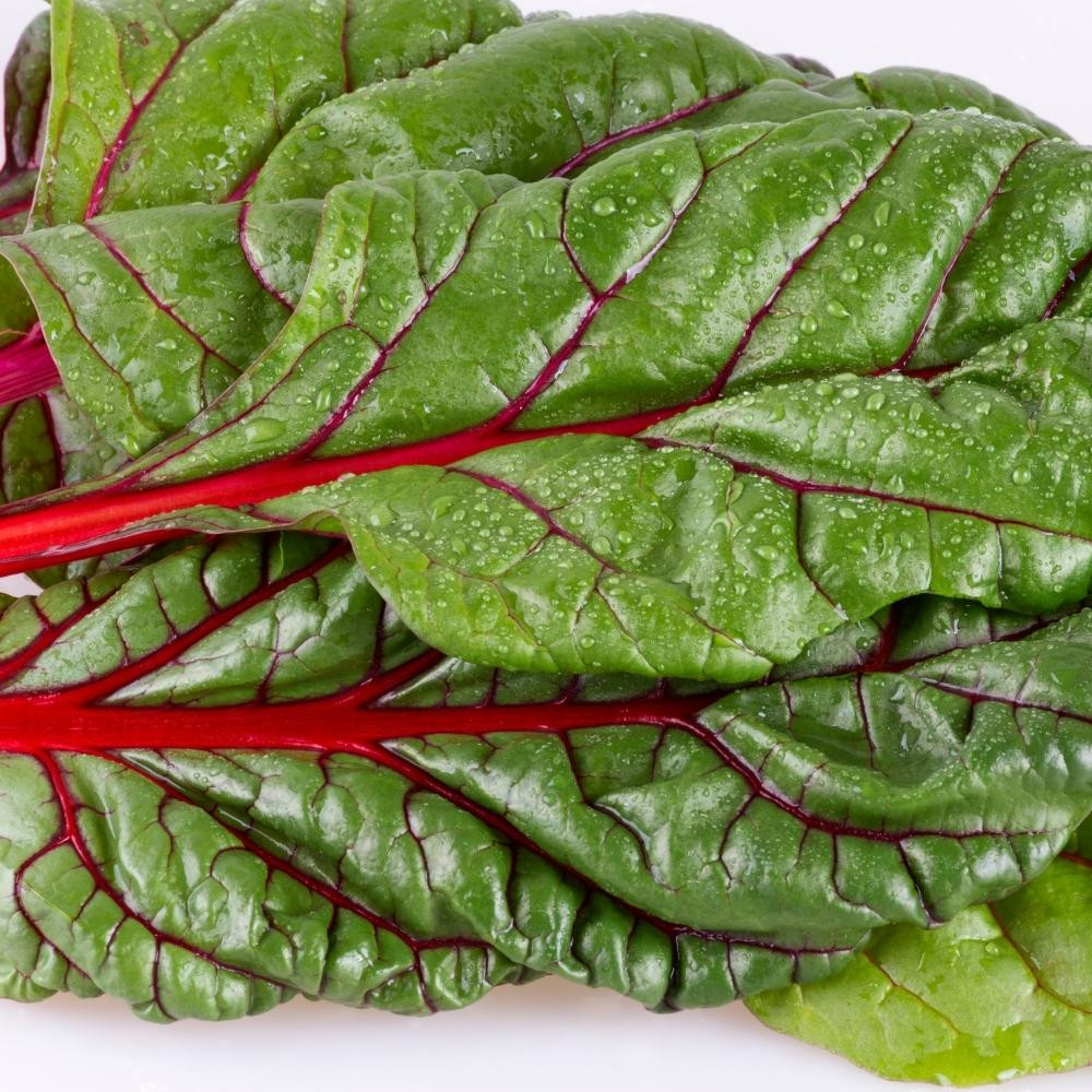 Buy Swiss Chard Magenta Sunset seeds at jparkers.co.uk