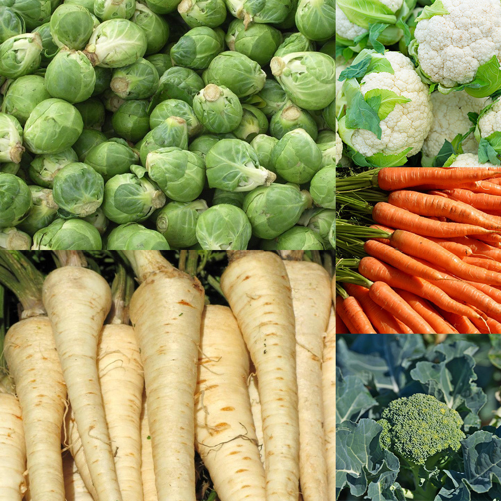 Buy Roast dinner essentials seed collection at jparkers.co.uk