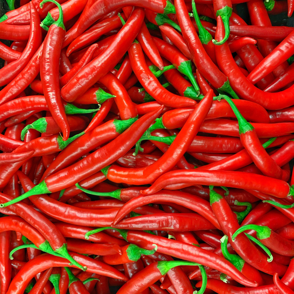 Buy Chilli Seed Collection at jparkers.co.uk