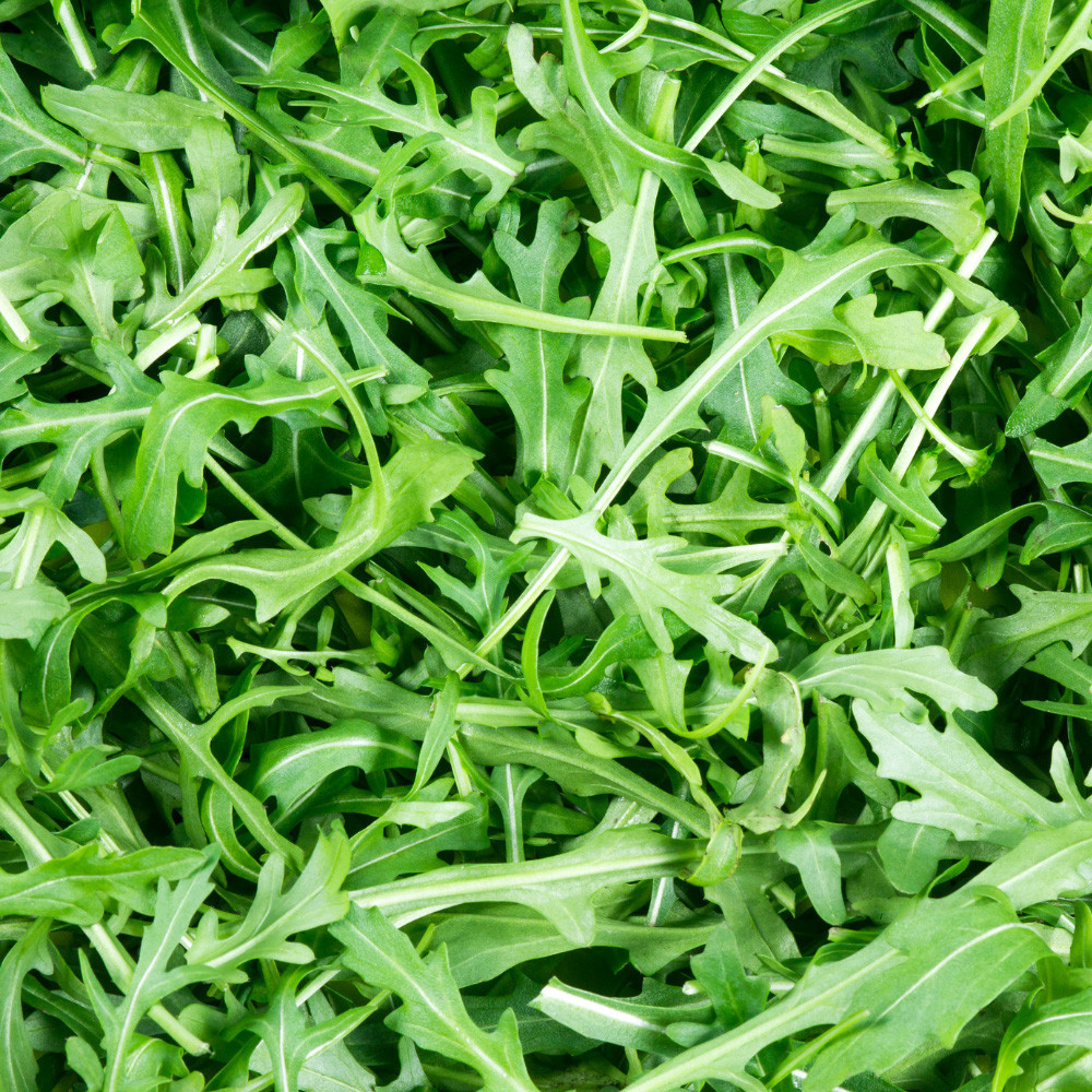 Buy Leafy Greens Seed collection at jparkers.co.uk