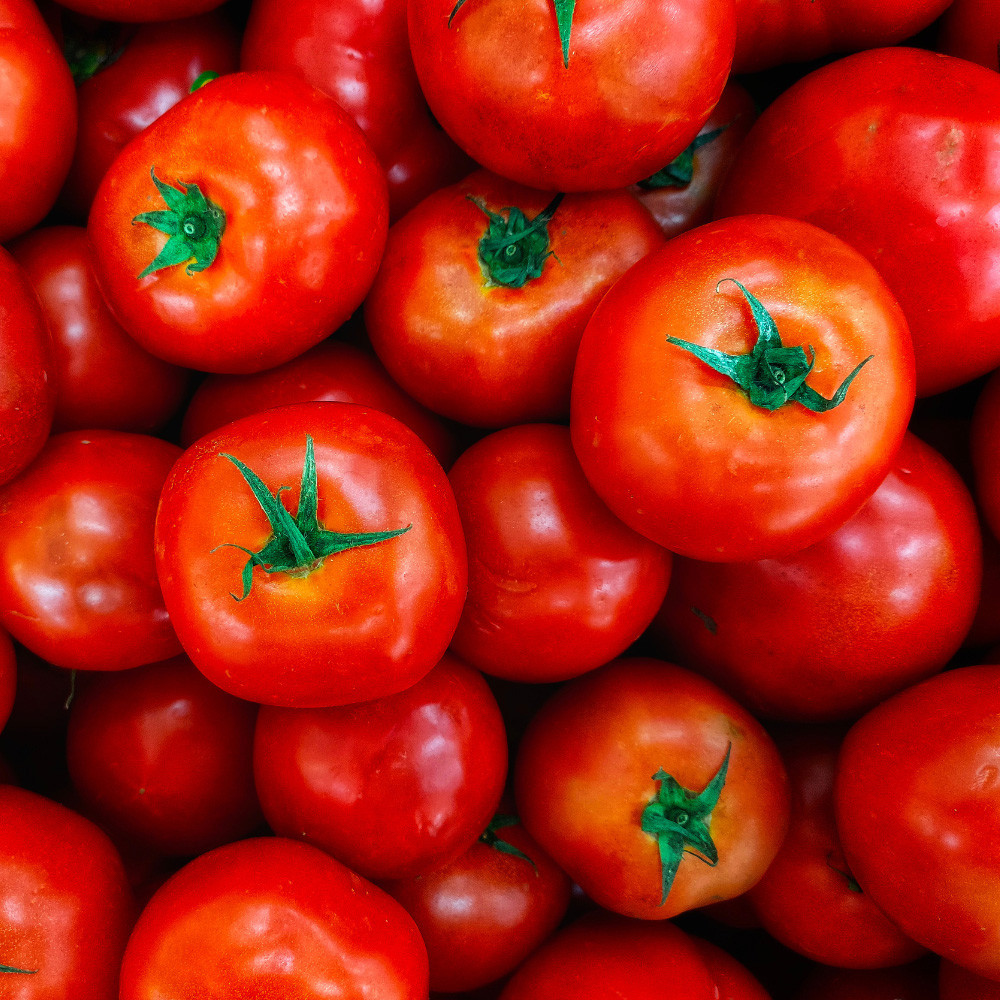 Buy Tomato Seed Collection at jparkers.co.uk
