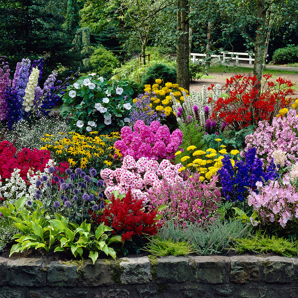 Buy Perennial Border Collection at jparkers.co.uk
