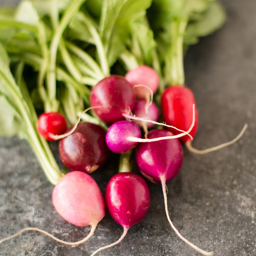 Buy Radish Easter Egg at jparkers.co.uk