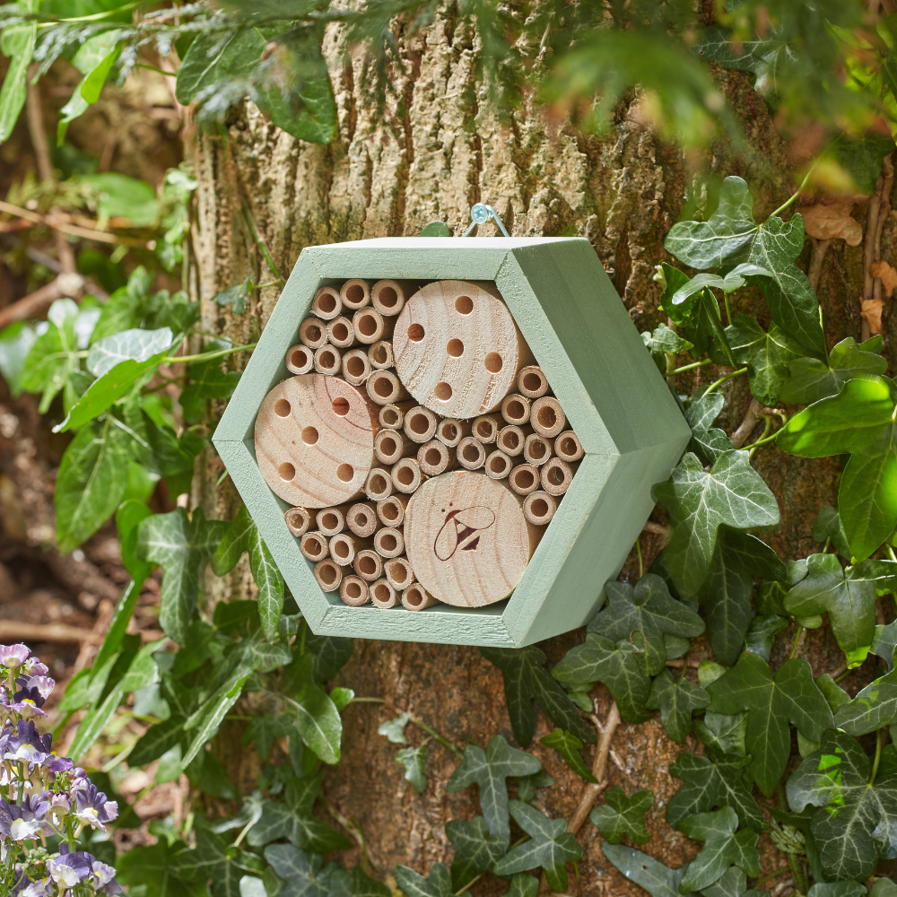 Buy Mason Bee HexBox at jparkers.co.uk