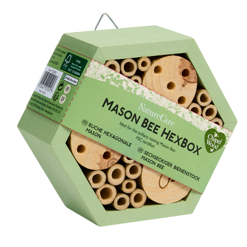Buy Mason Bee HexBox at jparkers.co.uk