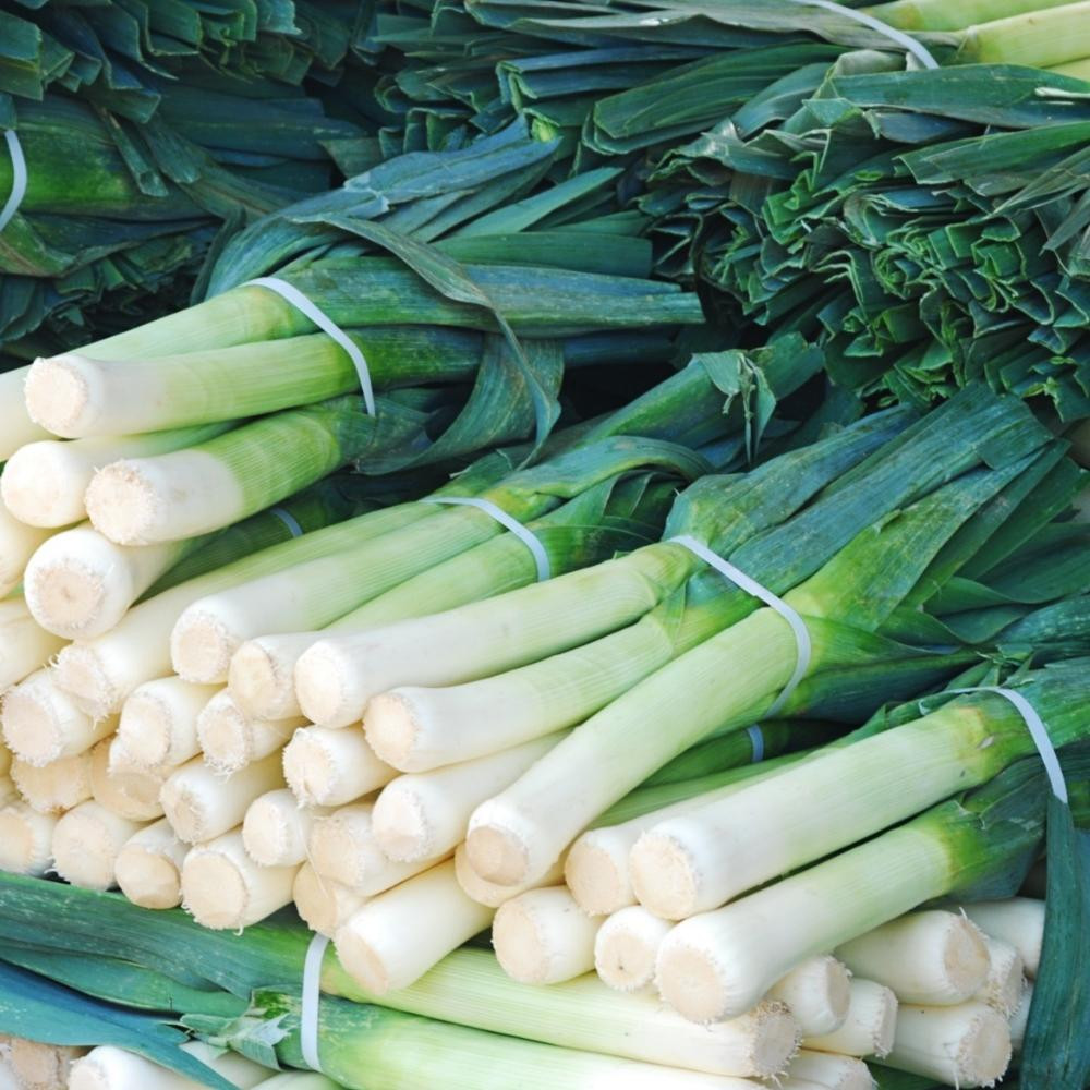 Buy Leek Heirloom Blue De Solaise seeds at jparkers.co.uk