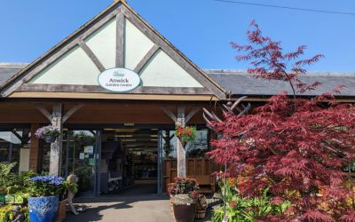 Come with Us to Our Anwick, Lincolnshire Garden Centre - JParkers