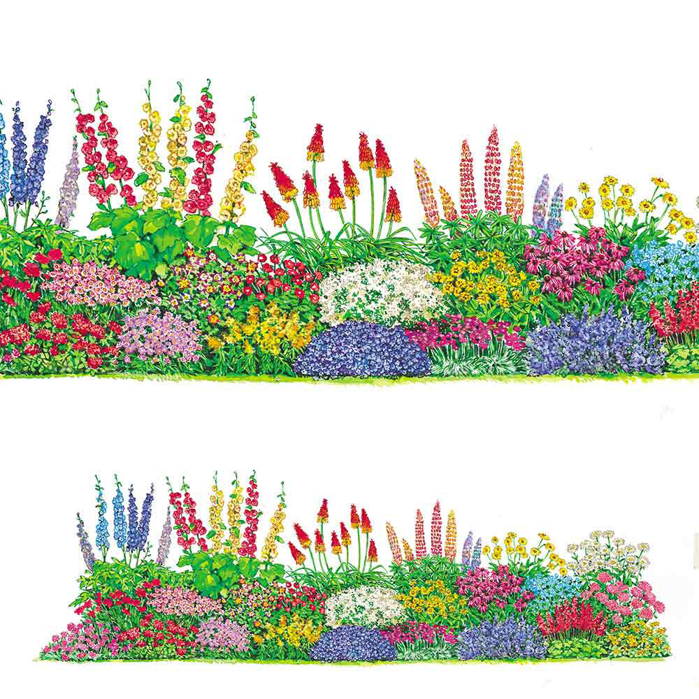 Shop Perennial Complete Border Collection from J. Parker's