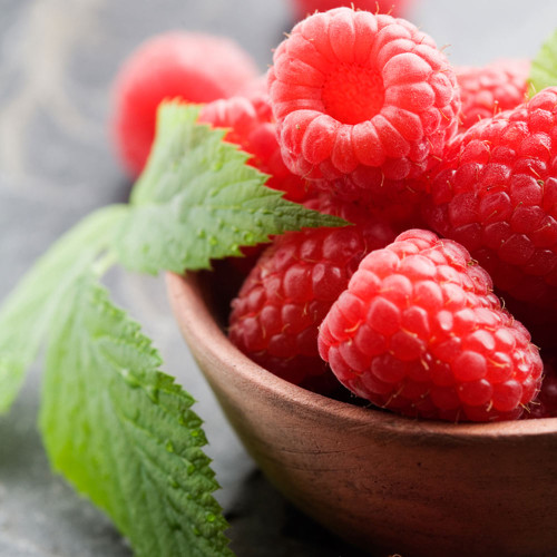 Buy Raspberry Glen Lyon | J Parker Dutch Bulbs