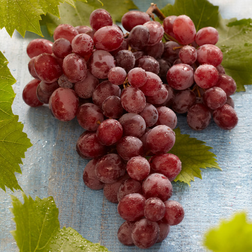 Buy Vitis Seedless Collection | J. Parker's