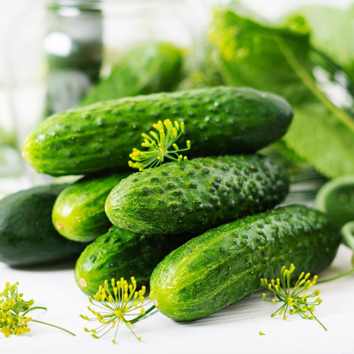 Buy Cucumber Gherkin Piccolo Di Parigi seeds at jparkers.co.uk