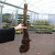 Buy Raspberry Malling Jewel (Mid Season) - J Parker Dutch Bulbs