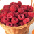 Buy Raspberry Malling Jewel (Mid Season) - J Parker Dutch Bulbs