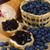 Blueberry Coville - JParkers