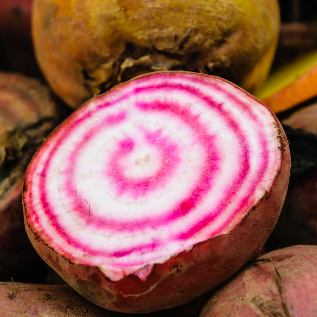 Shop Beetroot Chioggia Seeds | J. Parker's Dutch Bulbs