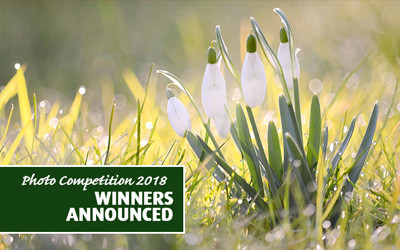 2018 Photo Competition Winners Announced - JParkers
