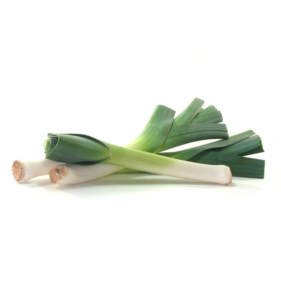 Buy Italian Leek Carentan 2 seeds at jparkers.co.uk