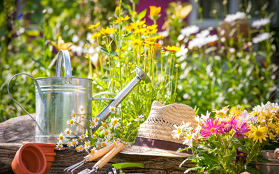 5 Essential Summer Gardening Tips - JParkers