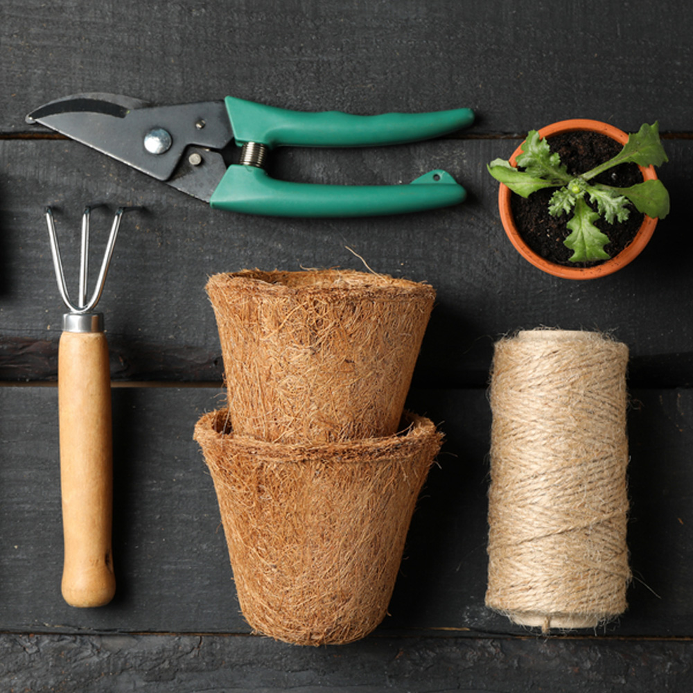 Inspire Me - Beginner's Hub - JParkers