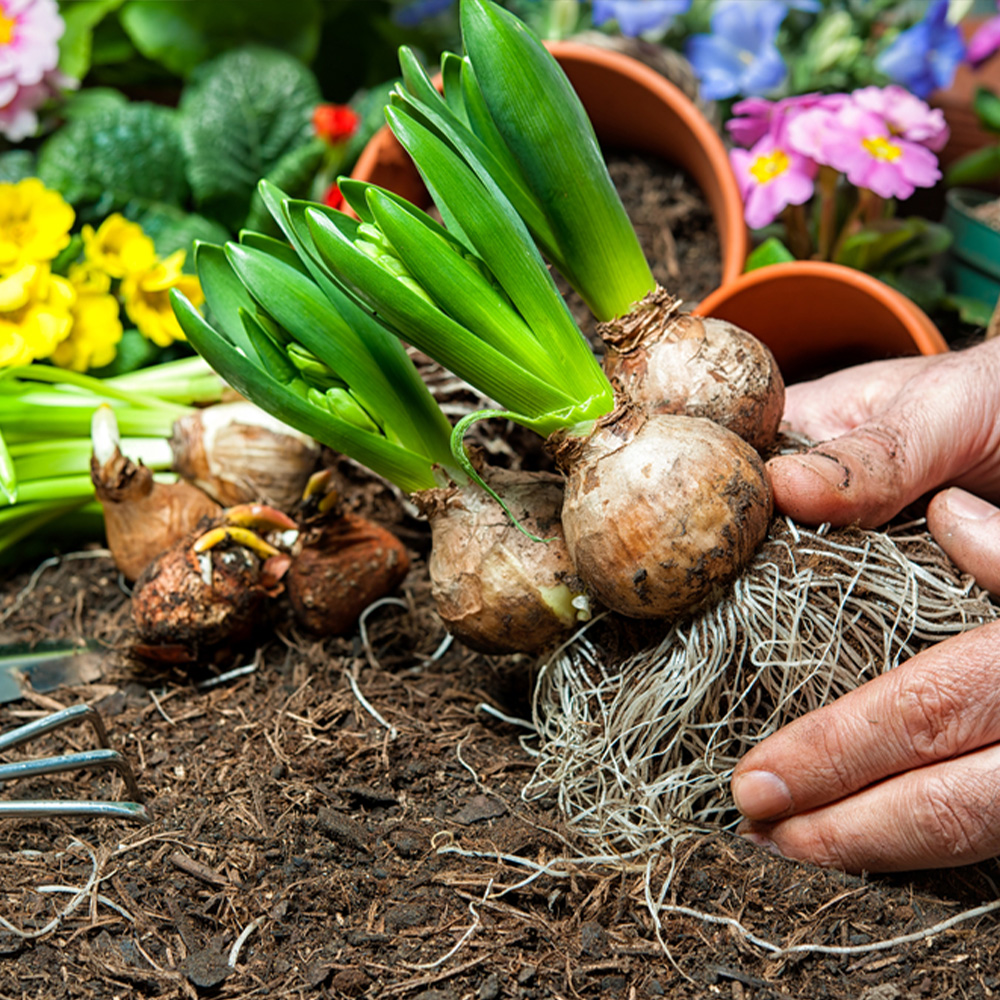 Inspire Me - Beginner's Hub - JParkers