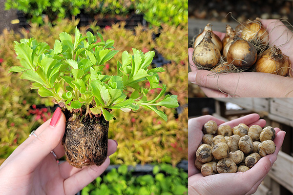 Inspire Me - Beginner's Hub - JParkers