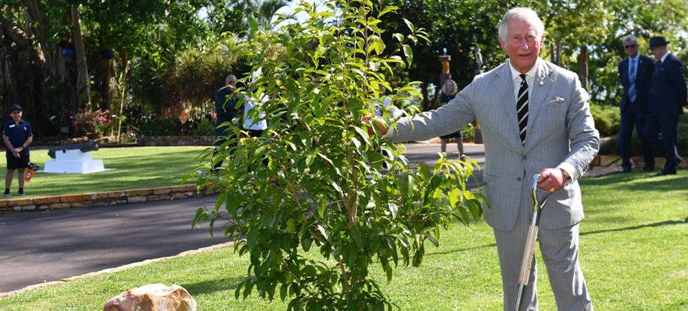 J. Parker's - Garden Plants & Bulbs