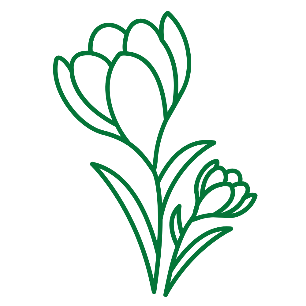 Inspire Me - Videos - Planting Tutorials - Crocus - JParkers