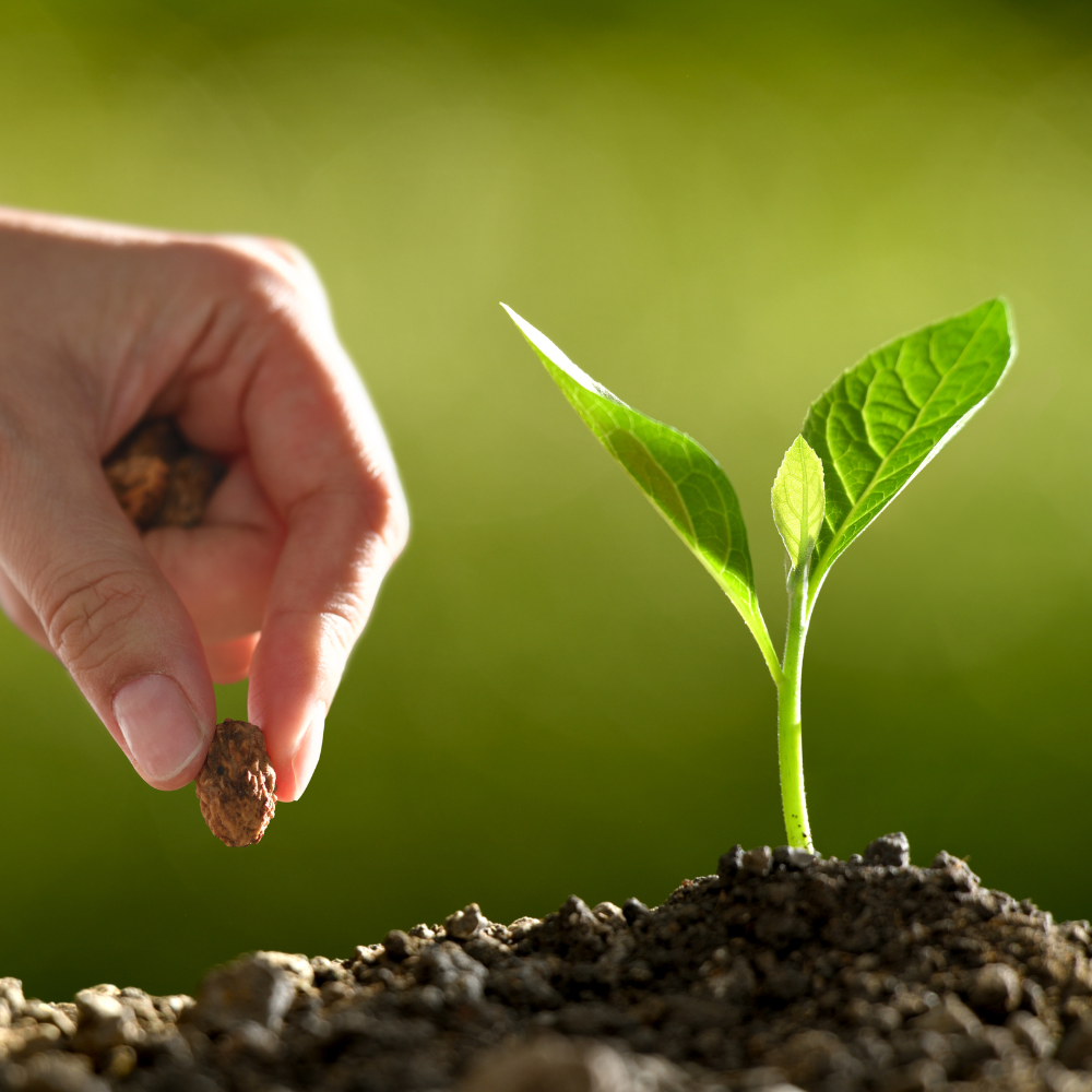 J. Parker's - Garden Plants & Bulbs