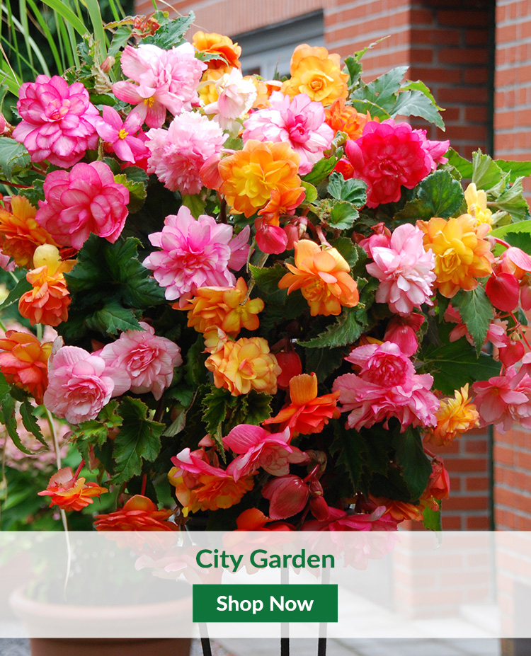 J. Parker's - Garden Plants & Bulbs