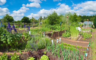 How to Start an Allotment - JParkers