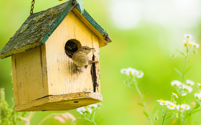 Winners of the Spring Photo Competition 2020 - JParkers