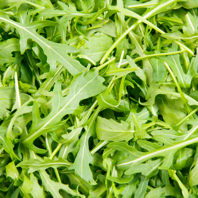 Buy Rocket (Cultivated) Seeds | J. Parker's Dutch Bulbs
