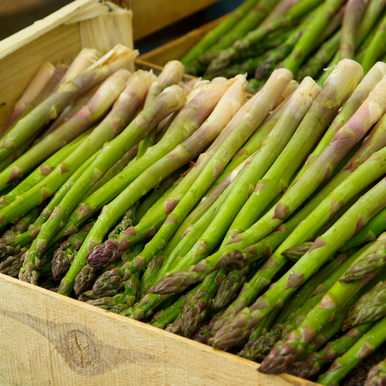 Shop Asparagus Connovers Colossal Seeds | J. Parker's