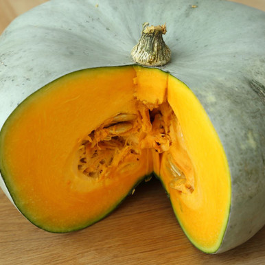 Shop Squash Crown Prince F1 Seeds | J. Parker's
