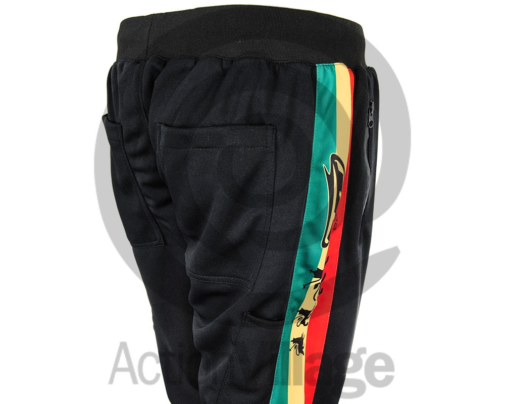 Volcom Logo Rasta Lion
