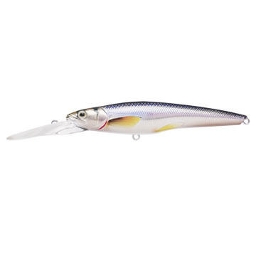 LiveTarget Rainbow Smelt Shallow Dive Jerkbait Lure - Kittery Trading Post