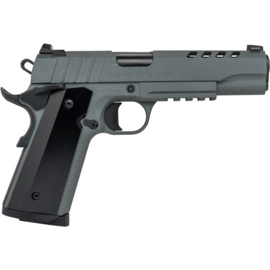 Tisas 1911 Night Stalker 10mm 5" Pistol w/ 2 Magazines - Kittery ...