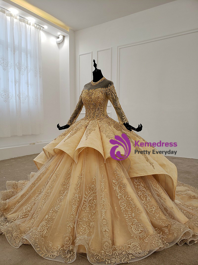 Gold Ball Gown Tulle Long Sleeve Appliques Backless Wedding Dress