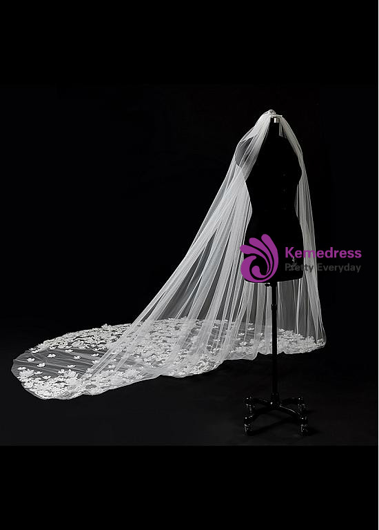 In Stock:Ship in 48 Hours Tulle Wedding Veil With Lace Appliques ...
