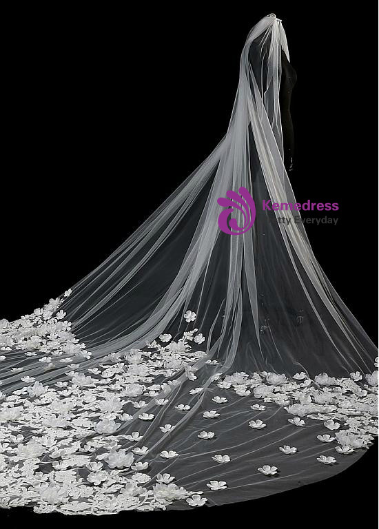 In Stock:Ship in 48 Hours Tulle Wedding Veil With Lace Appliques ...