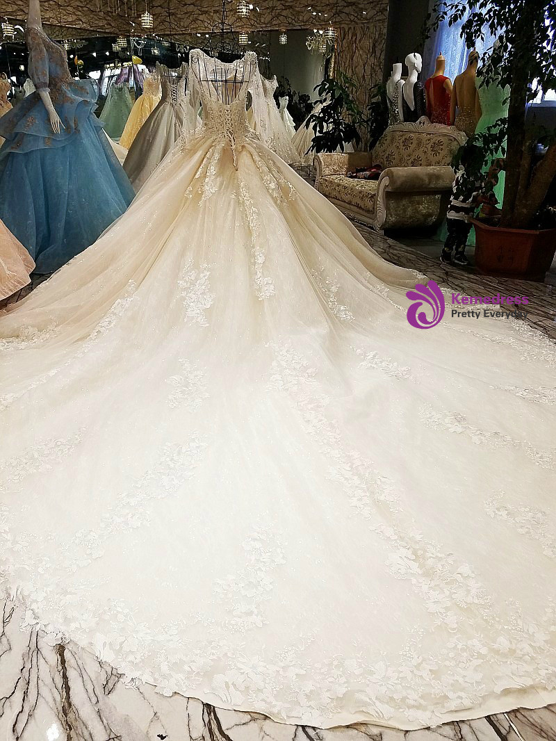 Queenly Lace Up Backless Flowers Beading Cathedral Train Floral Wedding ...