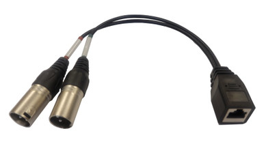 BSW Connect DUAL-XLRM-RJ45F - Audio Cables and Connectors