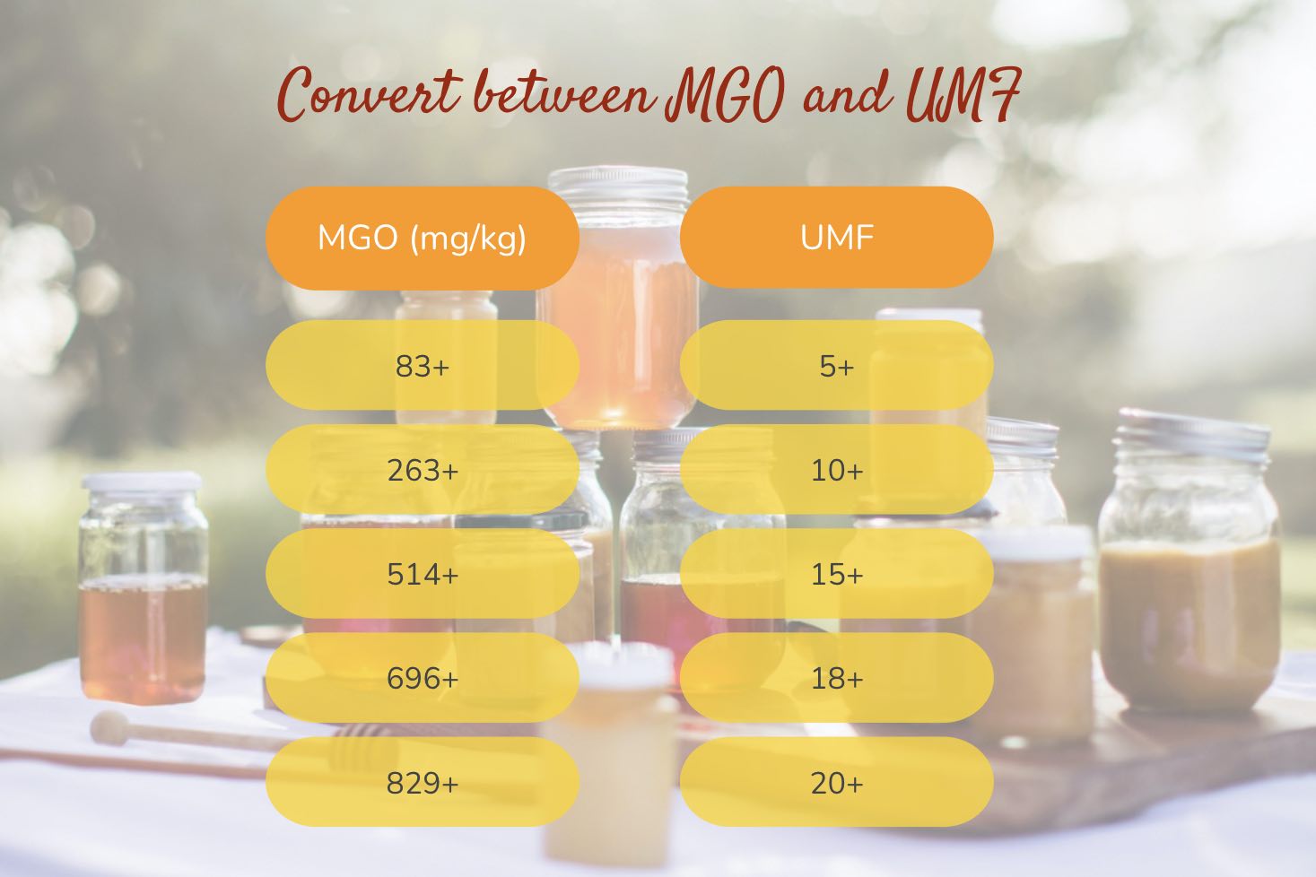 What's the Difference Between MGO and UMF? - 178 Degrees HK