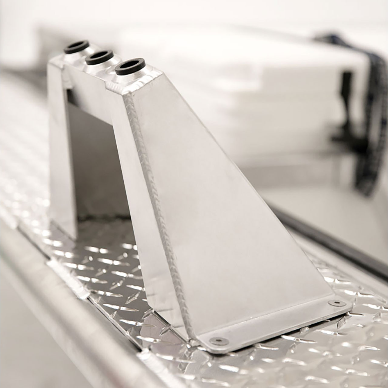 Willie River Rat Frame